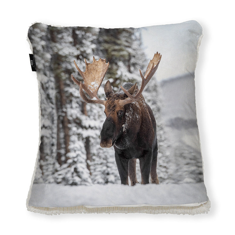 Moose – KOUSa cushions